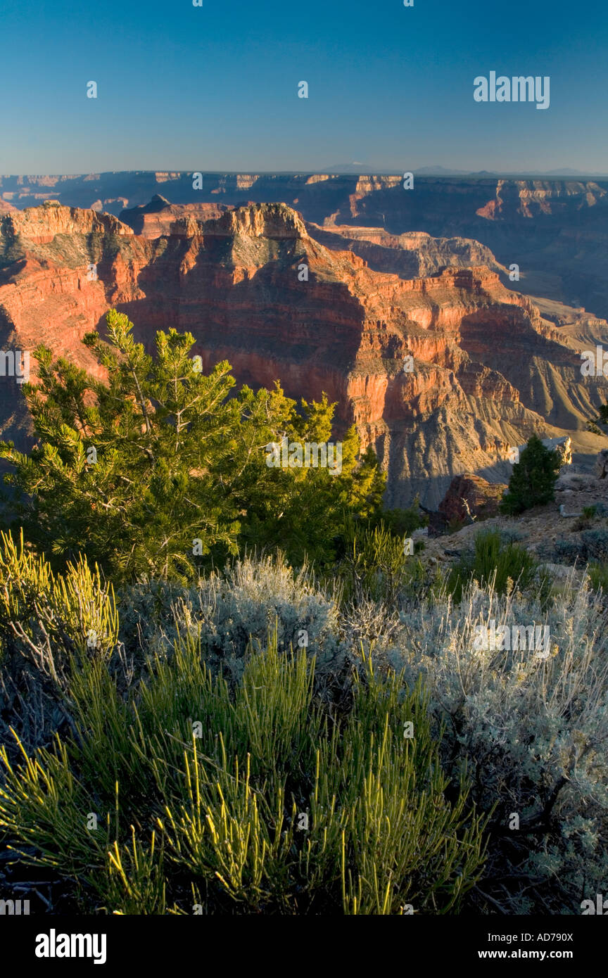 Sunset light on eroded cliffs along the North Rim from Point Sublime ...