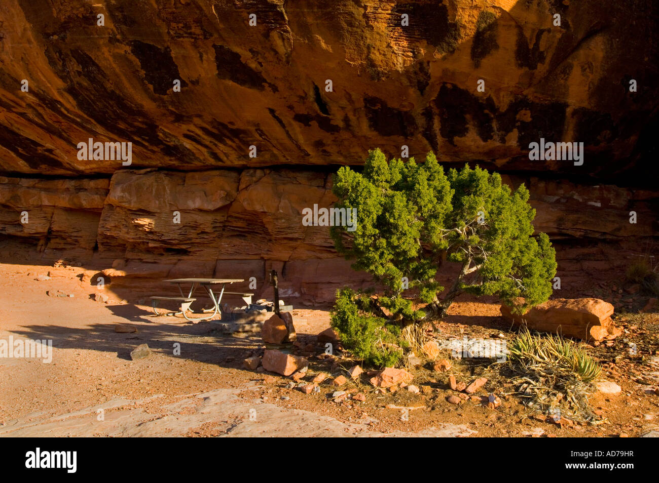 Picnic table fire pit and rock alcove at the Toroweap Campground ...