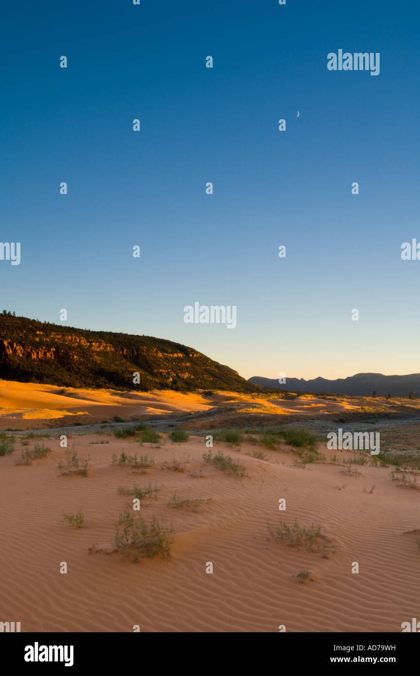 Sunset light at Coral Pink Sand Dunes State Park near Kanab Kane County ...