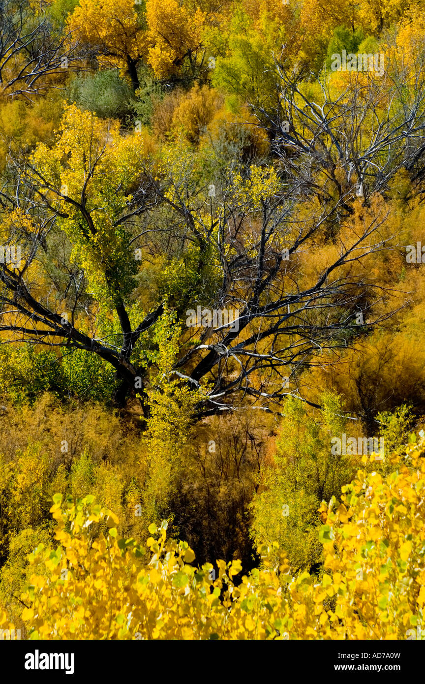 Kane wash hi-res stock photography and images - Alamy