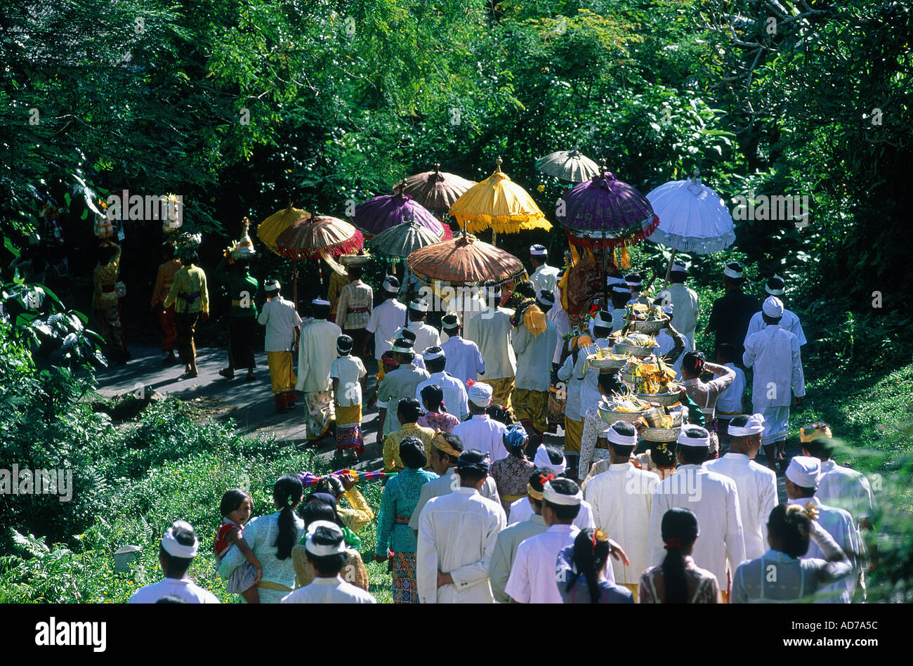 INDONESIA BALI MANENGA VILLAGE ODALAN BALINESE TEMPLE FESTIVAL ...