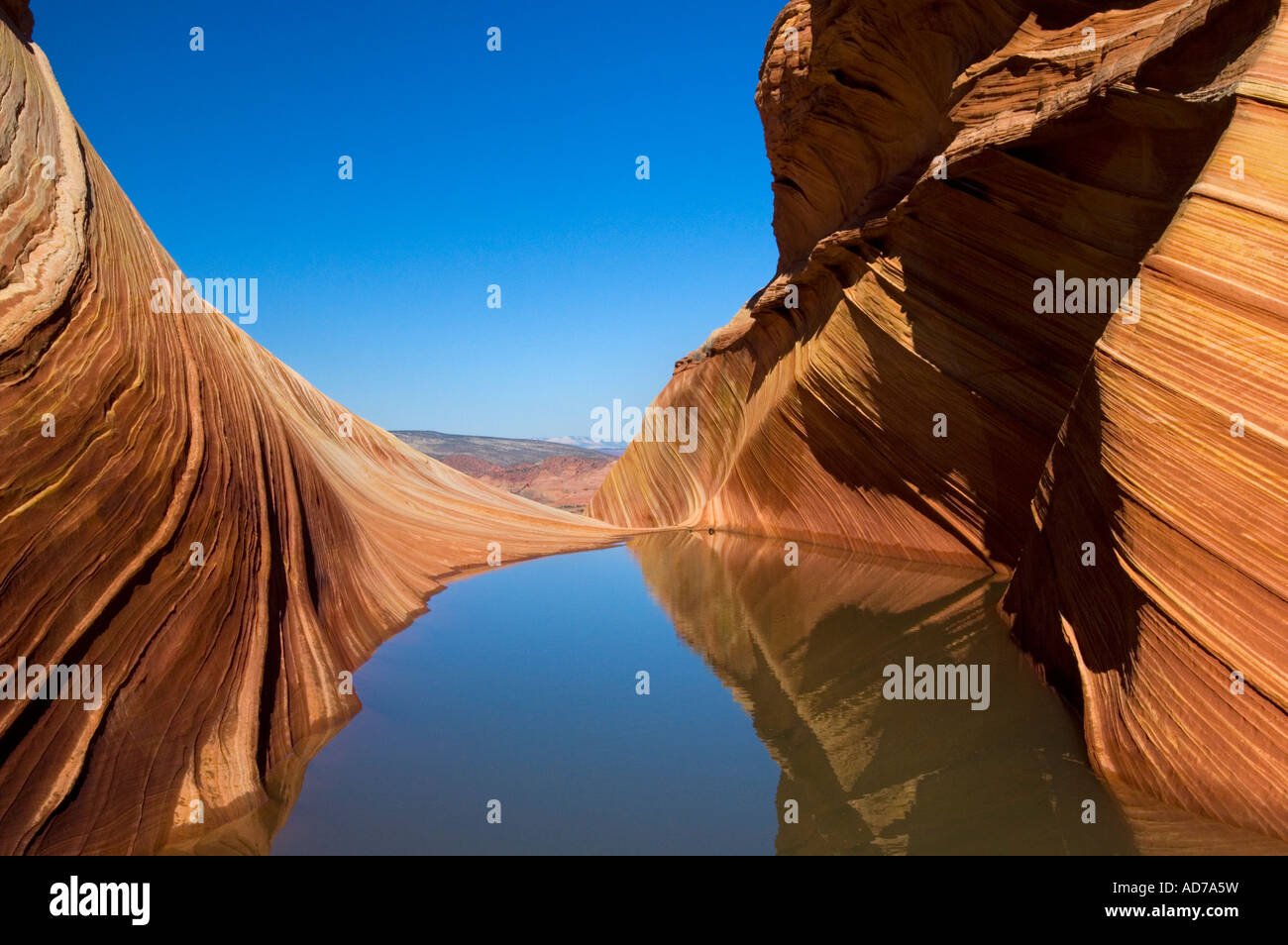 desert Water below striated sandstone The Wave Coyote Buttes Paria ...