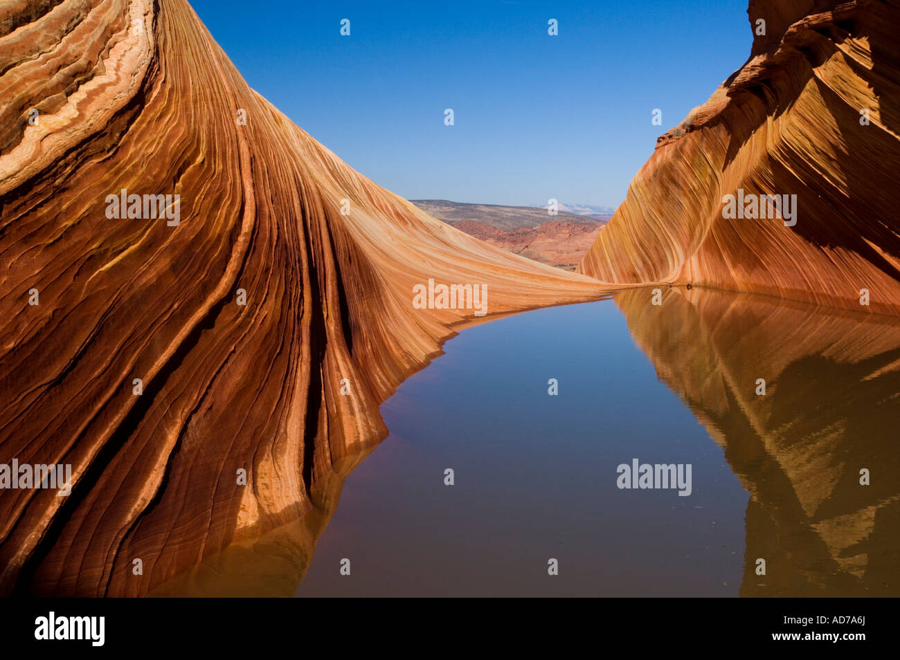 desert Water below striated sandstone The Wave Coyote Buttes Paria ...