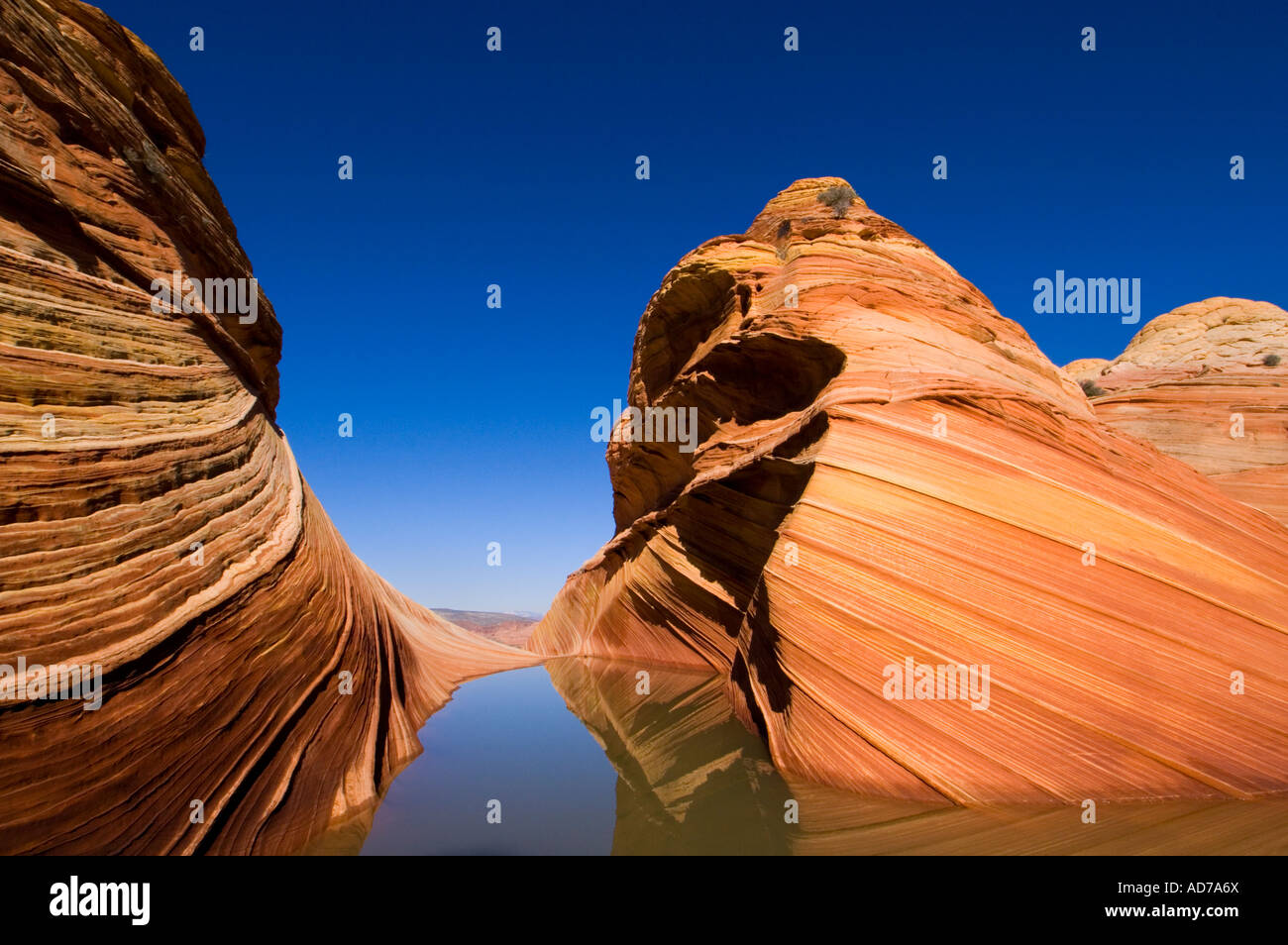 desert Water below striated sandstone The Wave Coyote Buttes Paria ...
