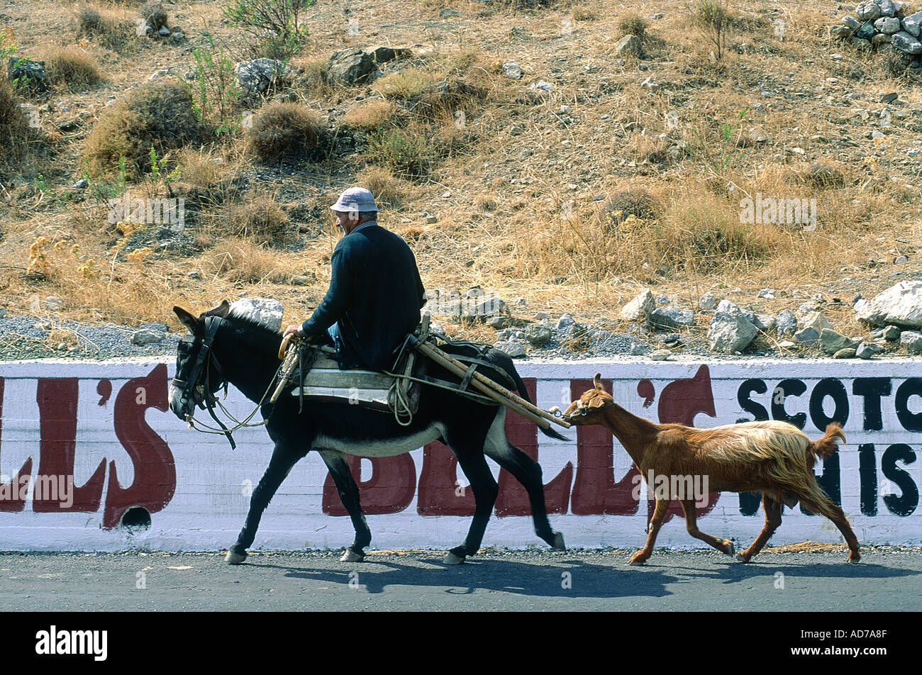 GREECE CRETE MAN RIDING A MULE ALONG WITH A GOAT WHISKEY AD ON A WALL ...