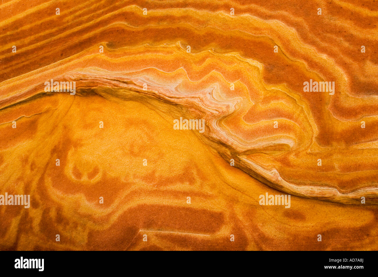Striated sandstone formations at The Wave Coyote Buttes Paria Canyon ...