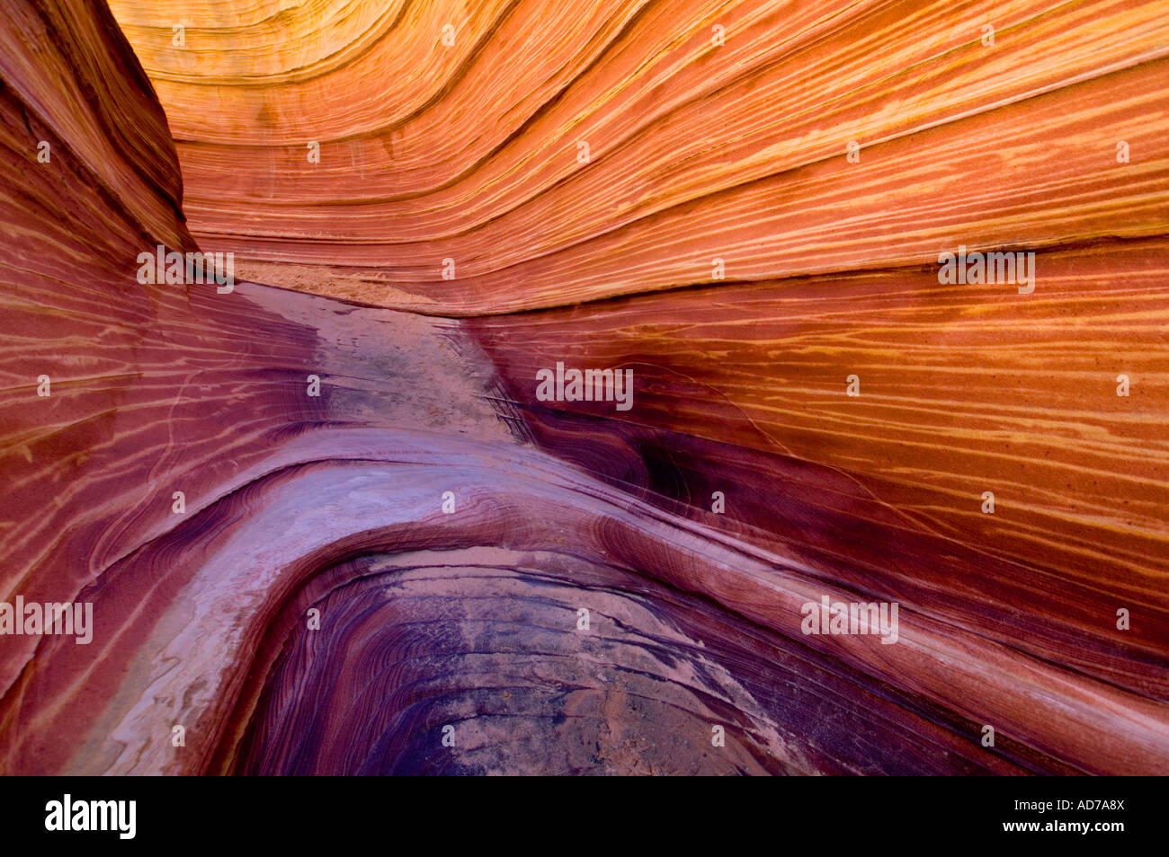 Striated sandstone formations at The Wave Coyote Buttes Paria Canyon ...