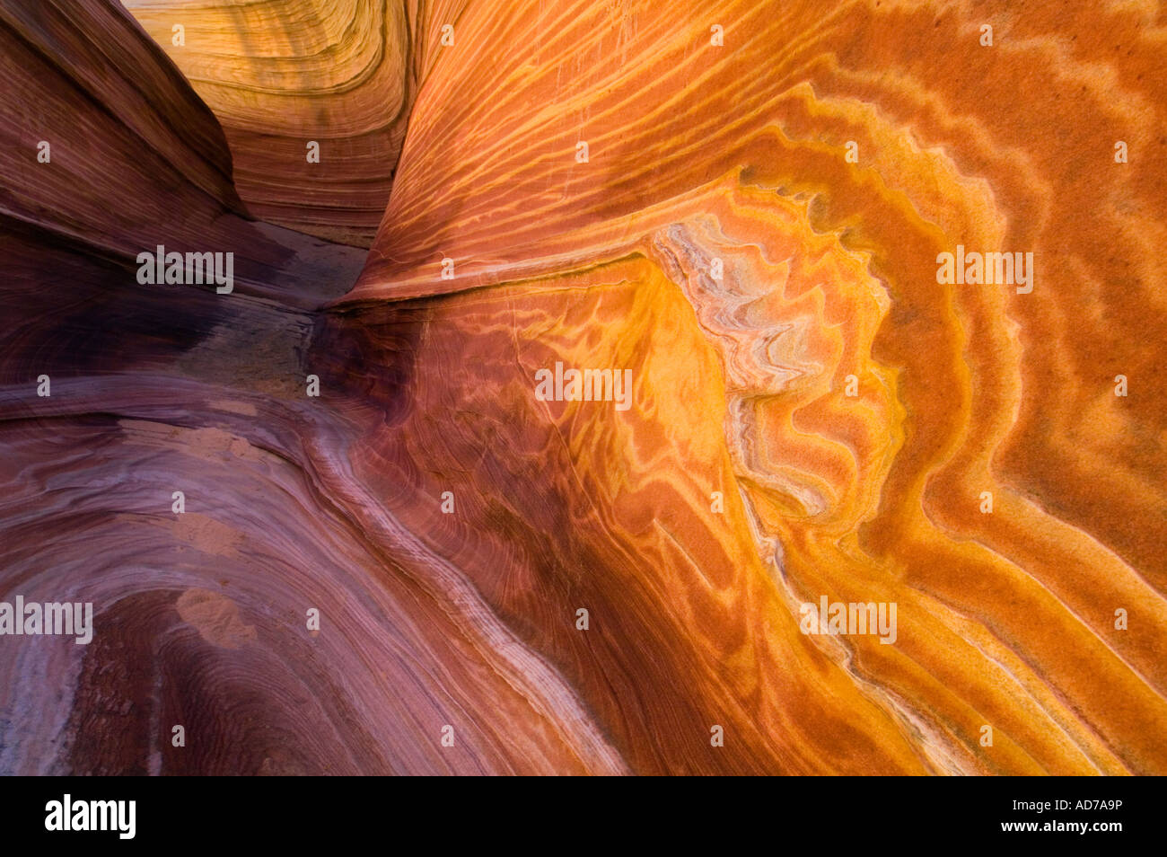 Striated sandstone formations at The Wave Coyote Buttes Paria Canyon ...