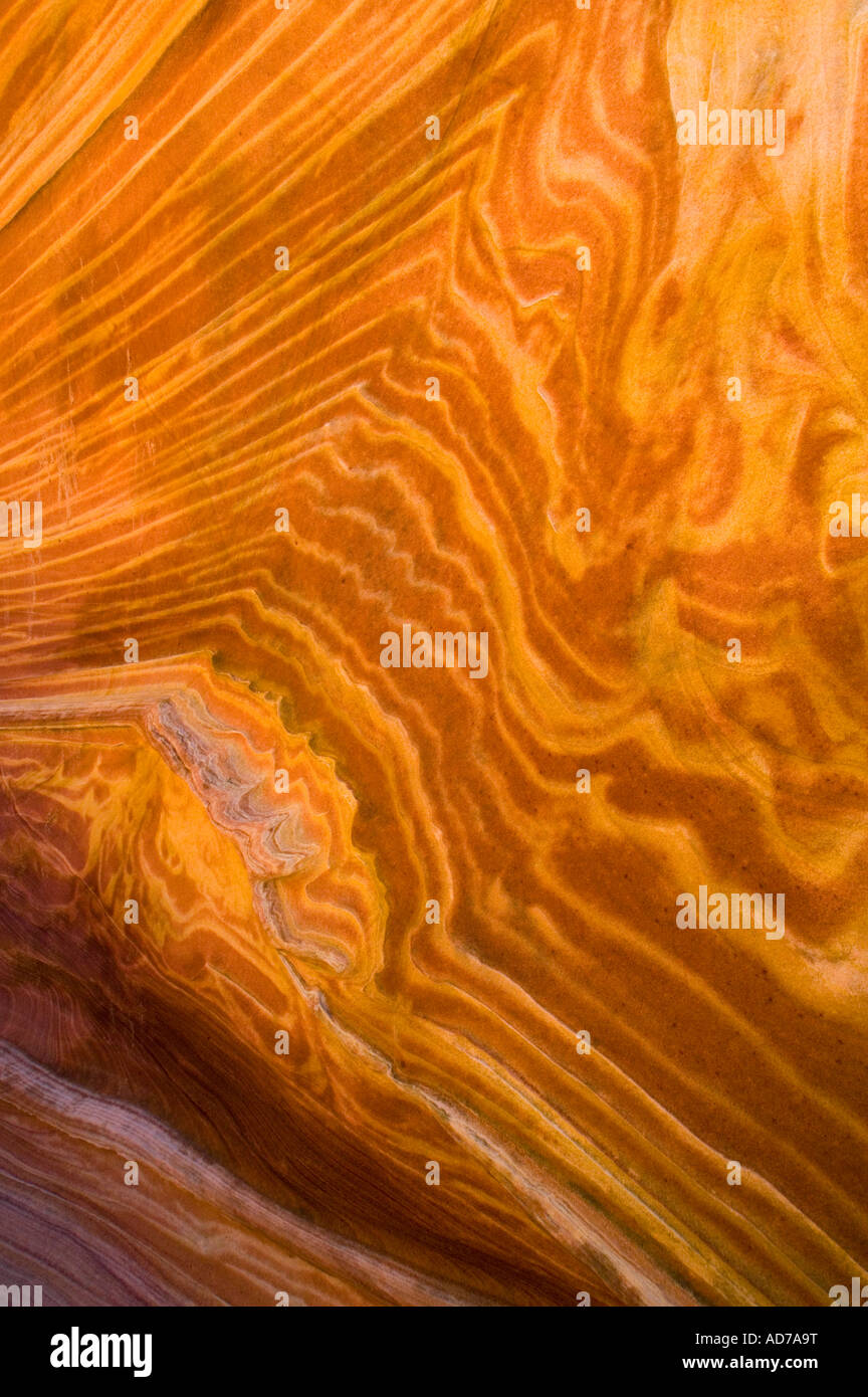 Striated sandstone formations at The Wave Coyote Buttes Paria Canyon ...