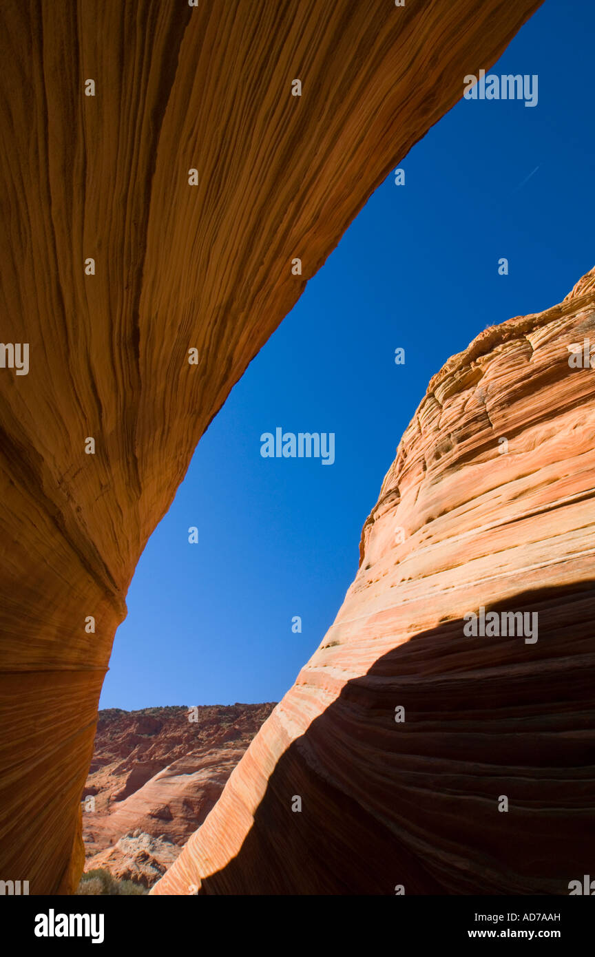 Striated sandstone formations at The Wave Coyote Buttes Paria Canyon ...