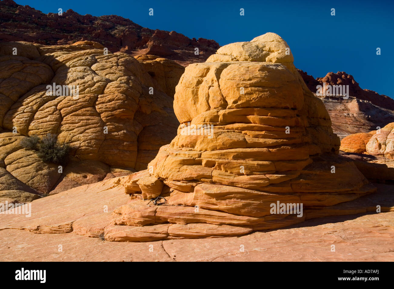Striated layer sandstone formations at the Coyote Buttes Paria Canyon ...