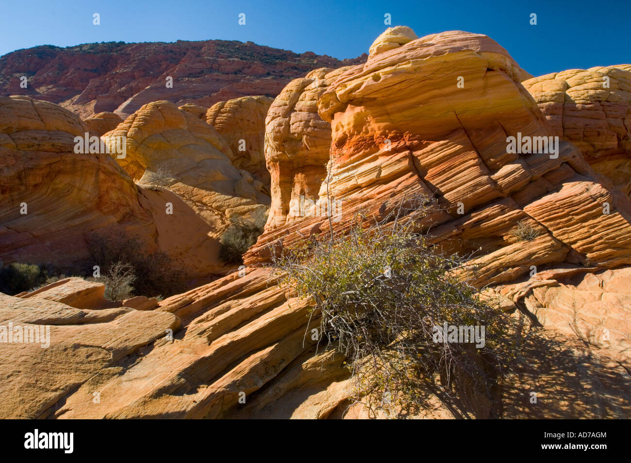 Striated layer sandstone formations at the Coyote Buttes Paria Canyon ...