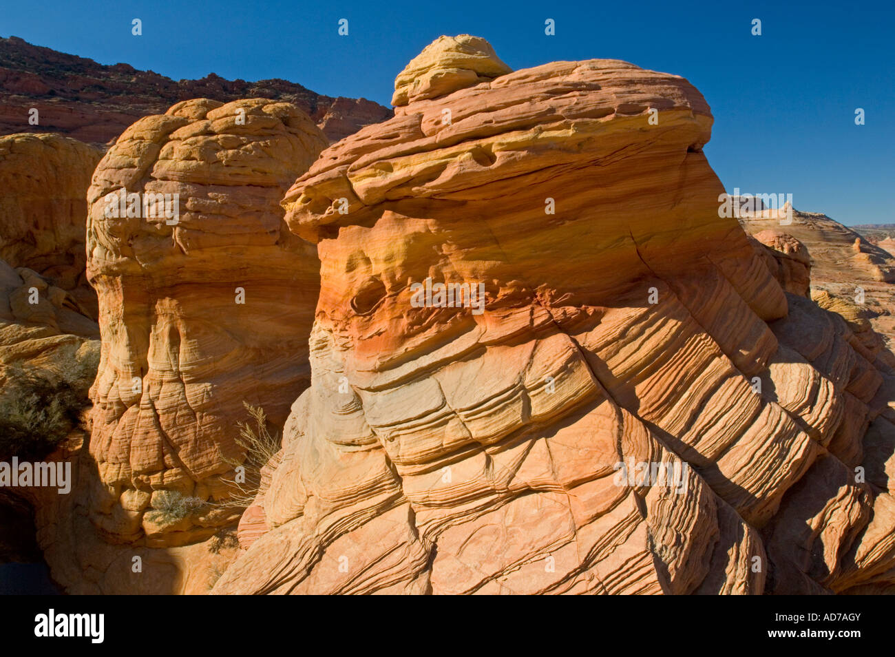 Striated layer sandstone formations at the Coyote Buttes Paria Canyon ...