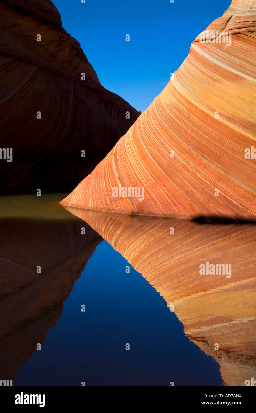 Striated sandstone reflected in water at The Wave Coyote Buttes Paria ...