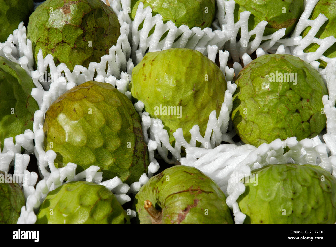 Cherimoyas hi-res stock photography and images - Alamy