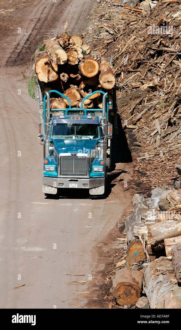 Truck loaded full of timber hi-res stock photography and images - Alamy