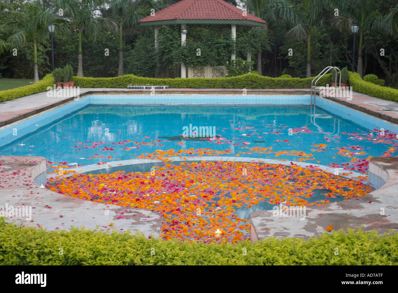 Flowers floating on water in a swimming pool Stock Photo - Alamy