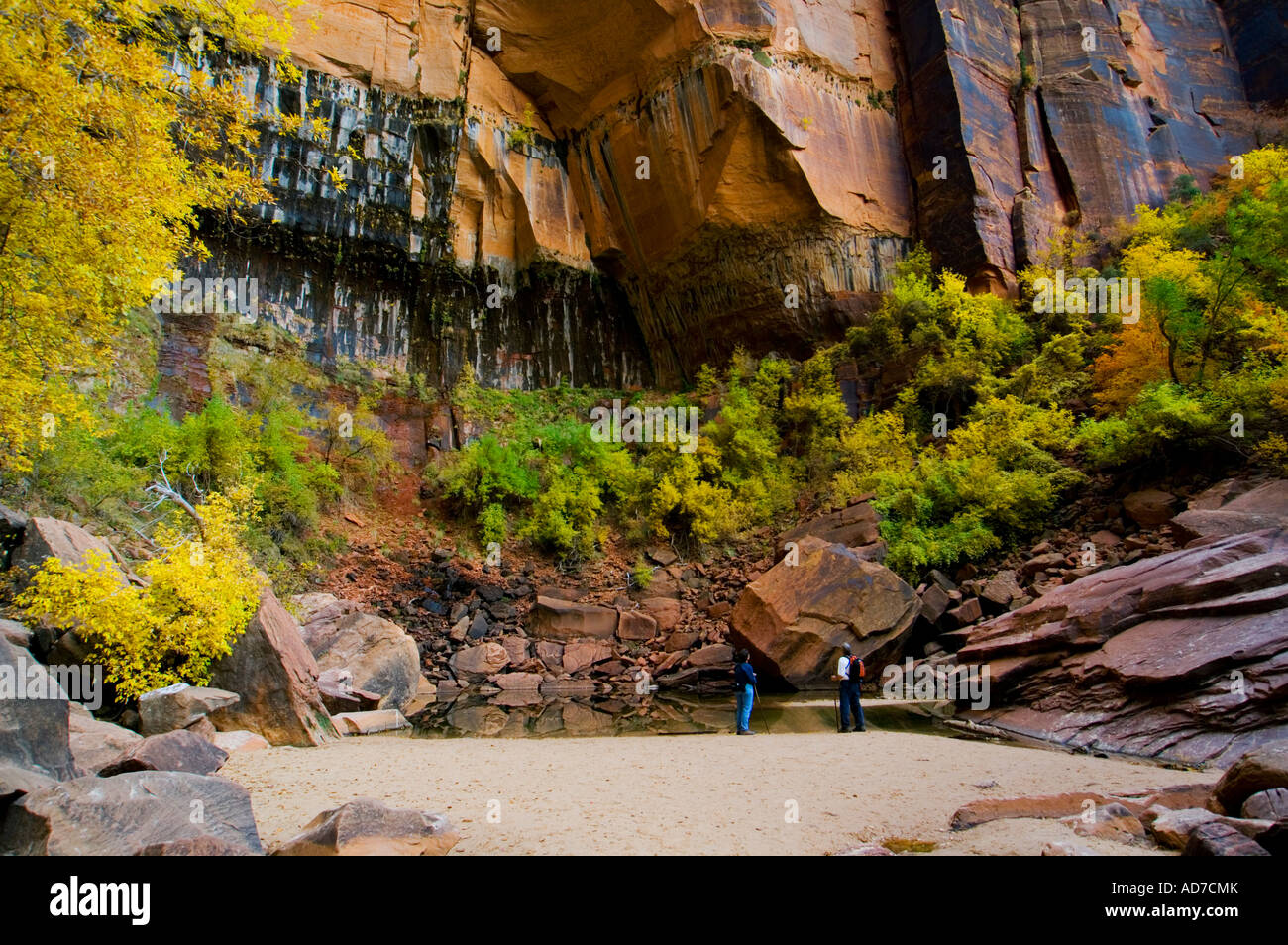 Upper Emerald Pool Emerald Pools Trail Zion Canyon Zion National Park ...