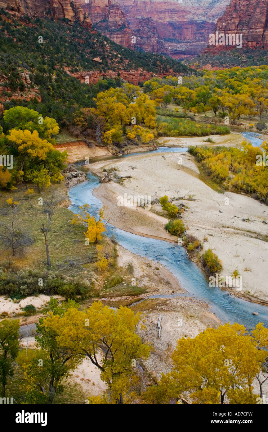 Virgin River and fall colors on trees below cliffs in Zion Canyon Zion ...