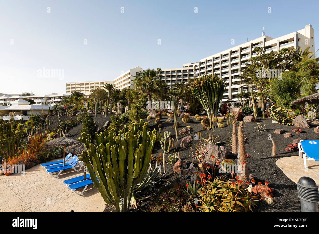 Hotel Sol Gorriones gardens with cacti Jandia Fuerteventura Canary ...