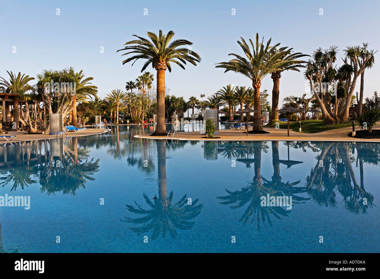 Gorriones hi-res stock photography and images - Alamy