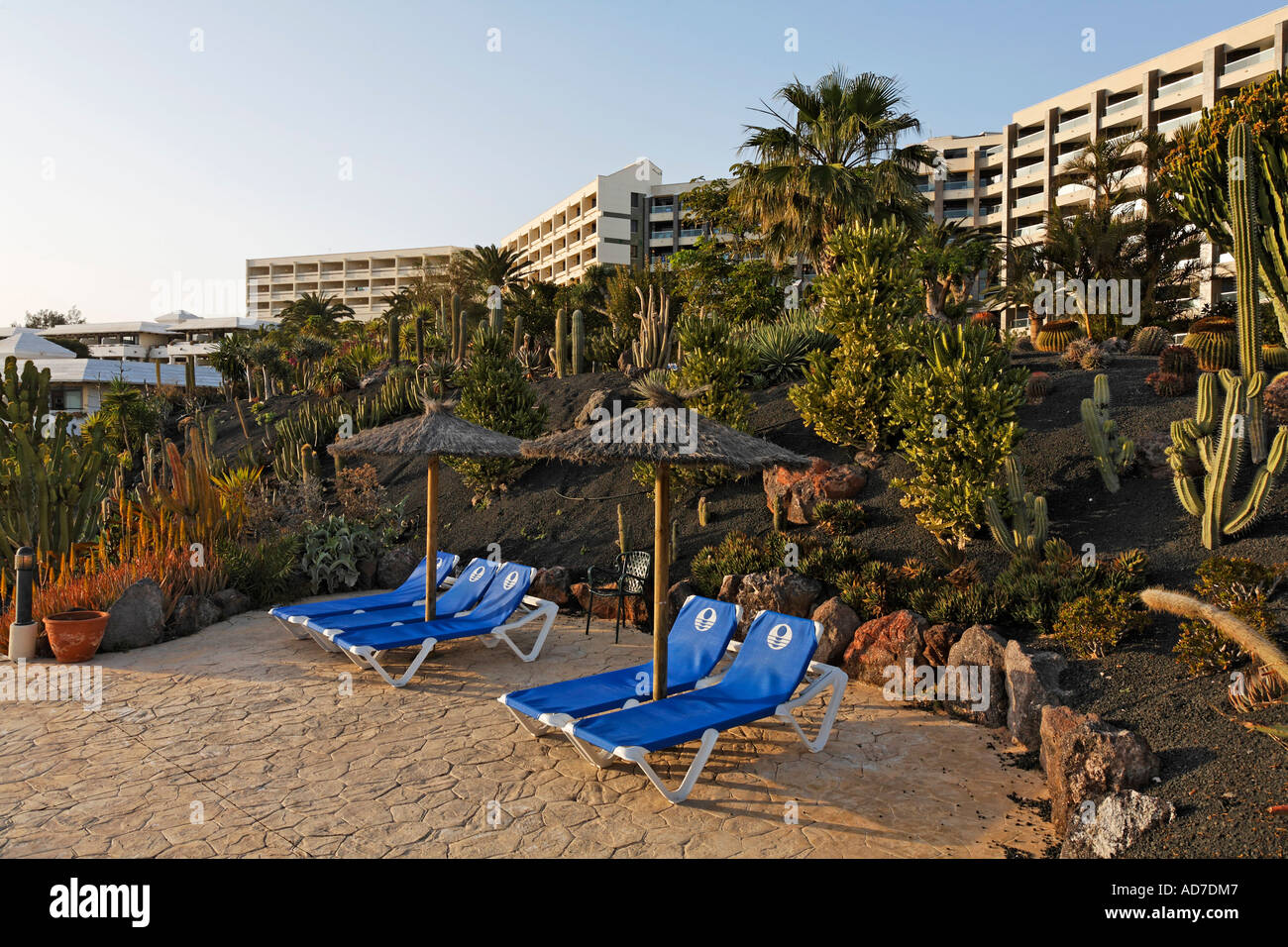 Hotel Sol Gorriones gardens with cacti Jandia Fuerteventura Canary ...