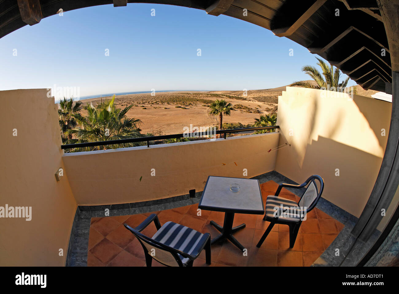 Gorriones hi-res stock photography and images - Alamy