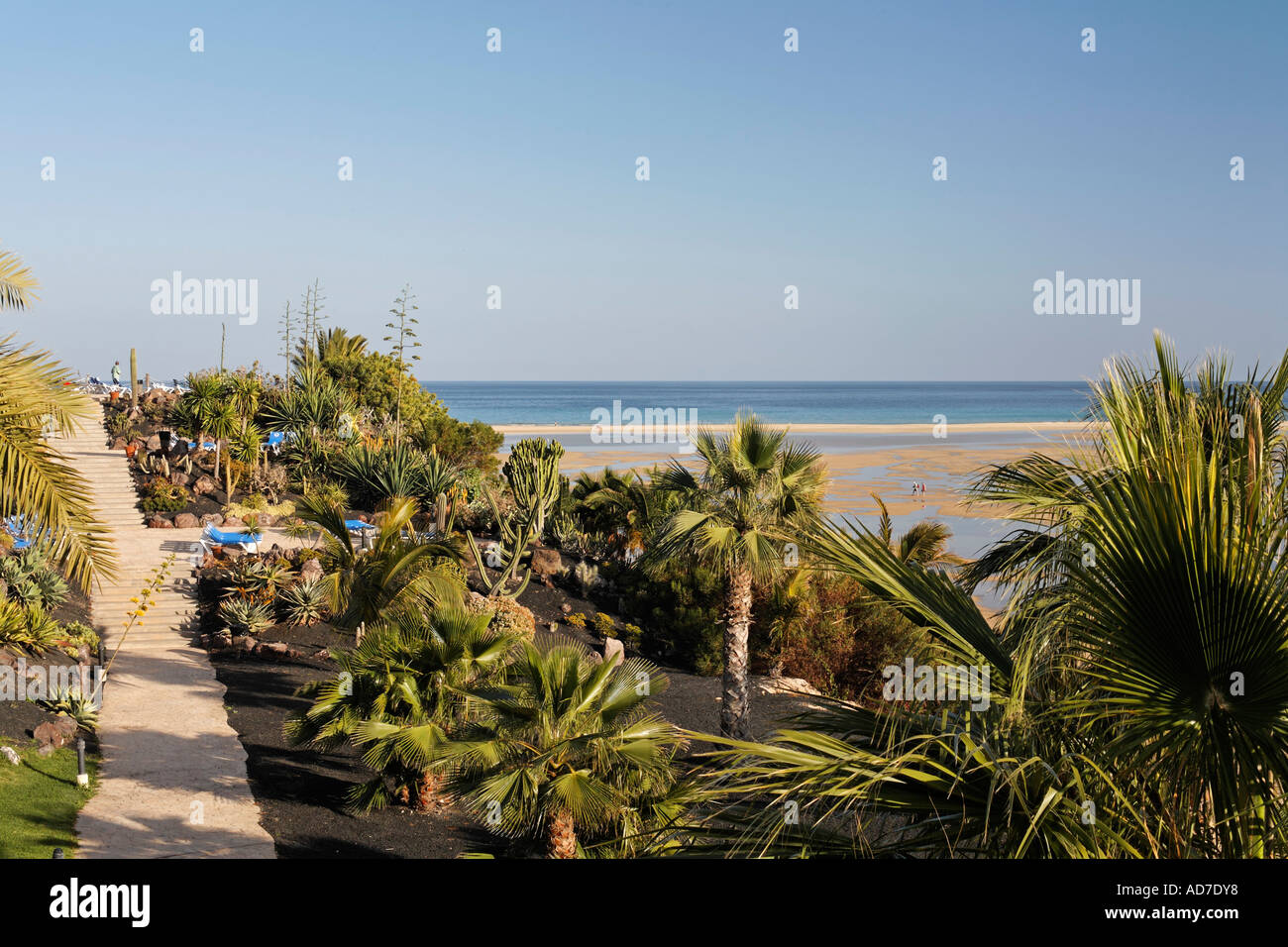 Hotel Sol Gorriones gardens Playa de Sotavento Jandia Fuerteventura ...