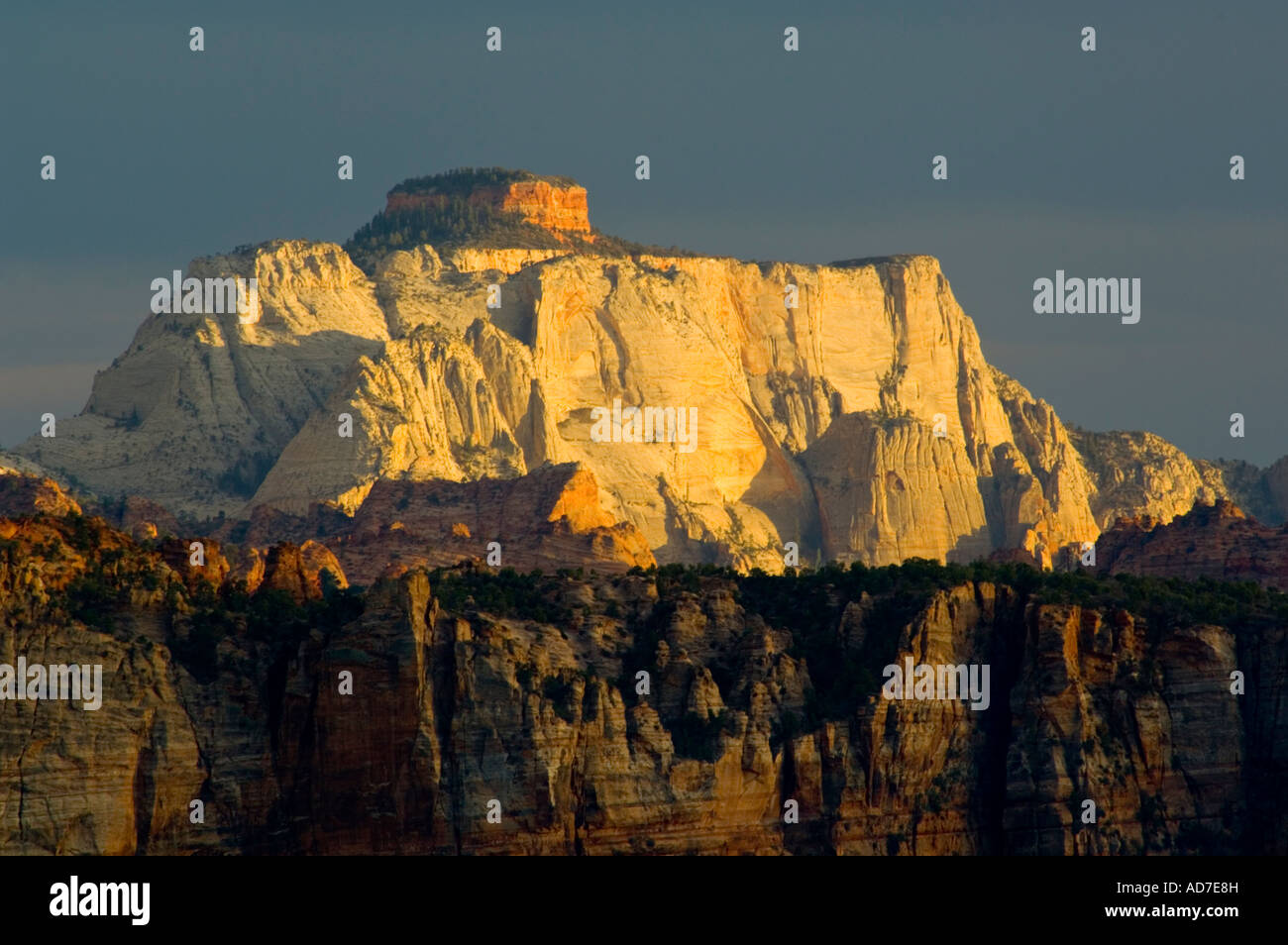 Section elevation hi-res stock photography and images - Alamy