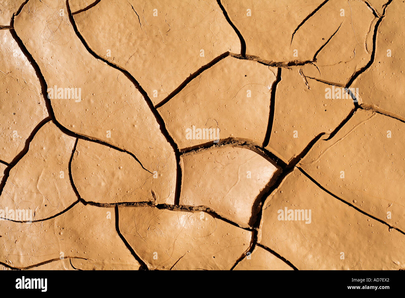 Loamy soil hi-res stock photography and images - Alamy