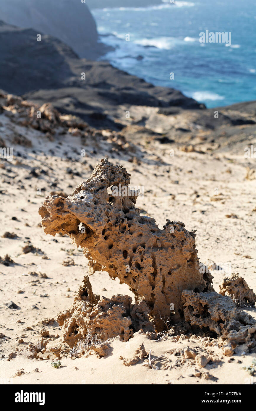 sandstone eolian erosion Punta Pesebre Jandia Fuerteventura Canary ...