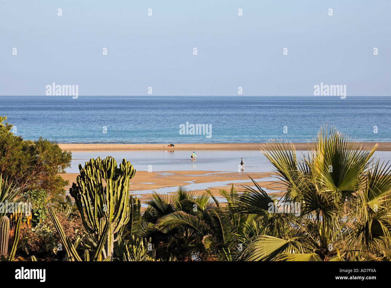 view from Hotel Sol Gorriones Playa de Sotavento Jandia Fuerteventura ...