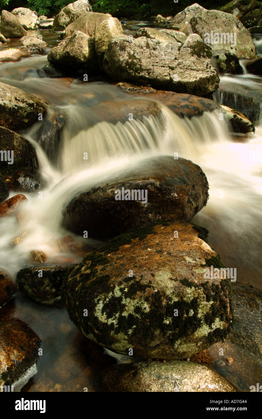 The river Plym at Shaugh Prior Dartmoor Devon UK Stock Photo - Alamy