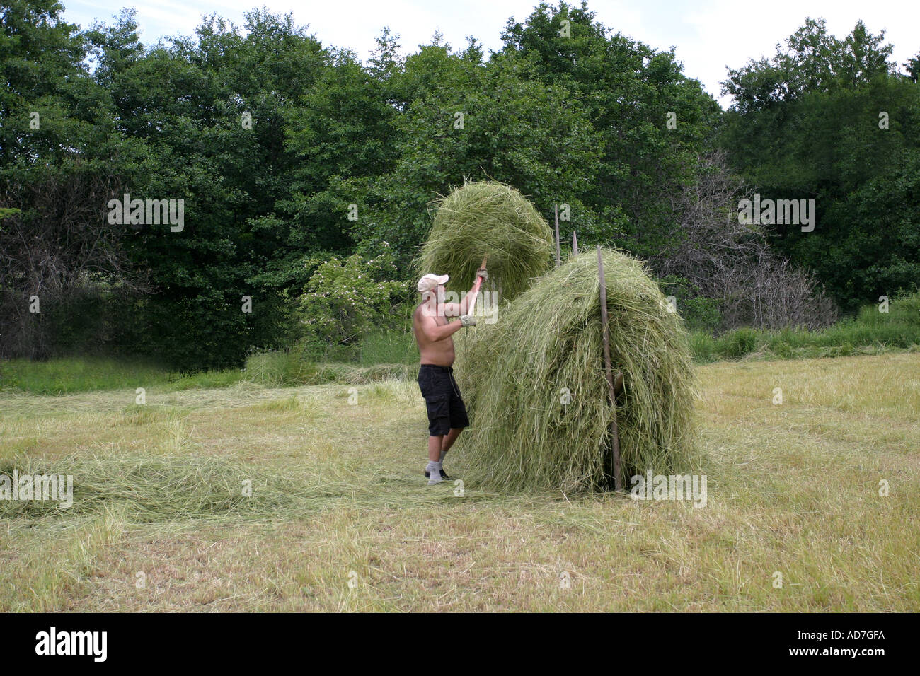 Old haystack hi-res stock photography and images - Alamy