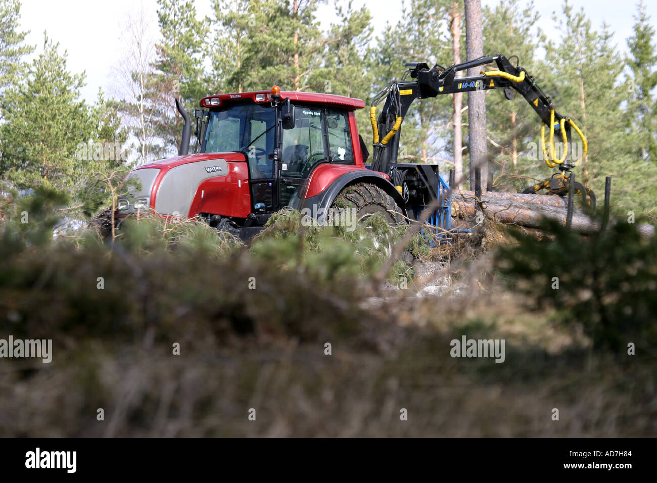 Forestry log truck hi-res stock photography and images - Alamy