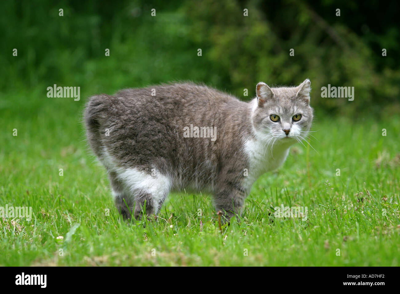 Tailles hi-res stock photography and images - Alamy