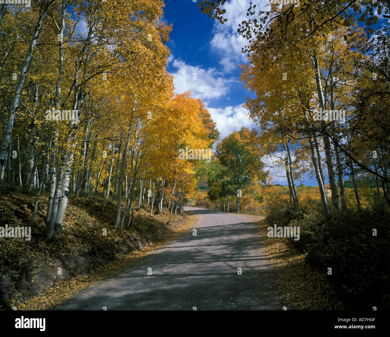 Fishlake national forest hi-res stock photography and images - Alamy