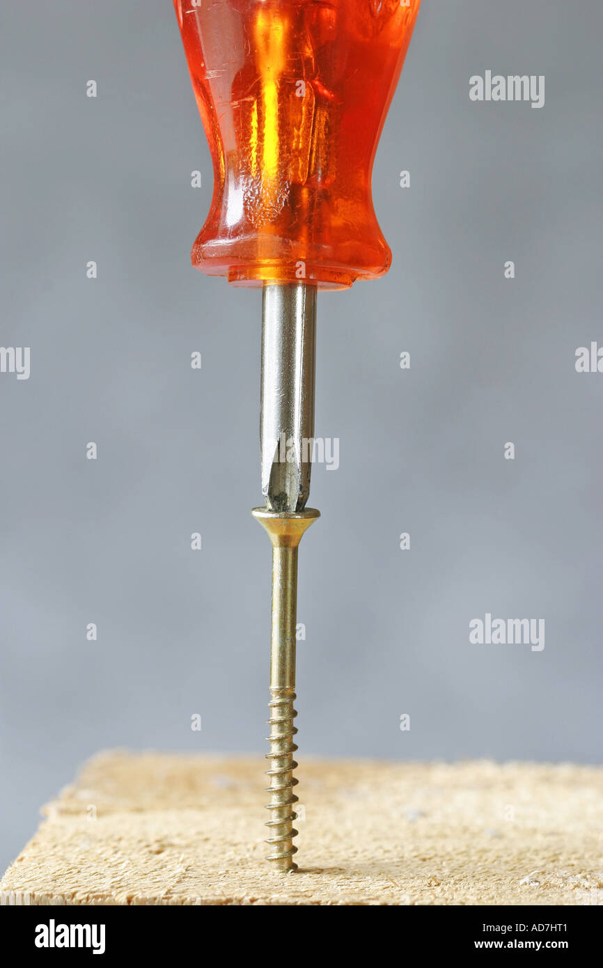Woodscrew hi-res stock photography and images - Alamy