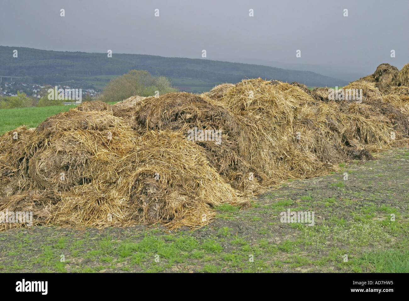 Dunghill hi-res stock photography and images - Alamy