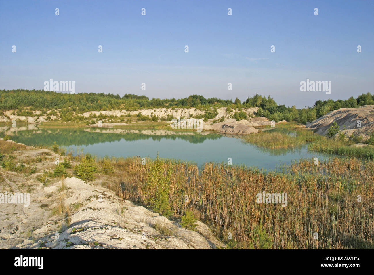 Closed clay mine with cane brake in the foreground Stock Photo - Alamy