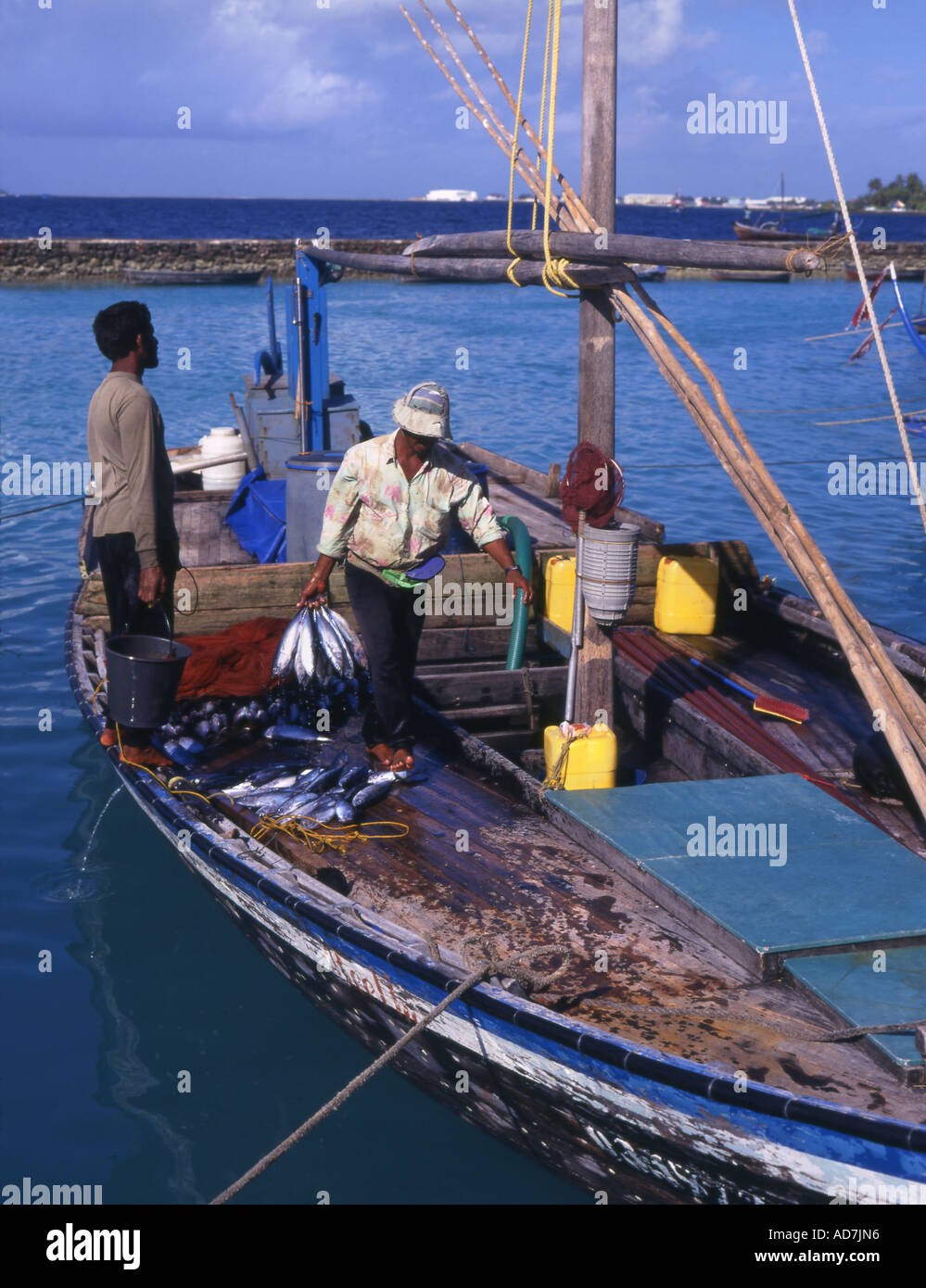 MALDIVE ISLANDS. Male. Fishermen unloading catch from boat Stock Photo ...