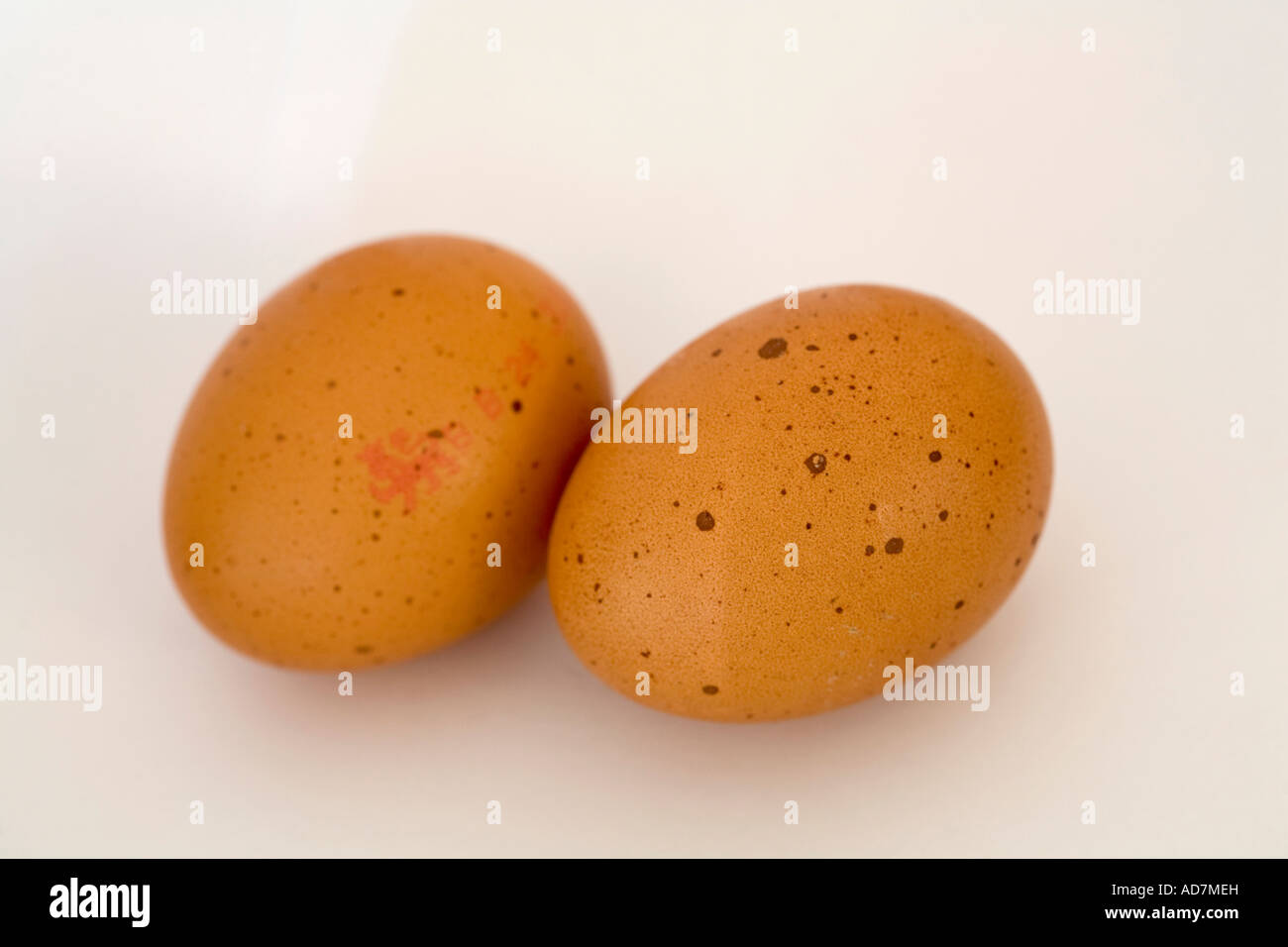 Two Eggs on white background Stock Photo - Alamy