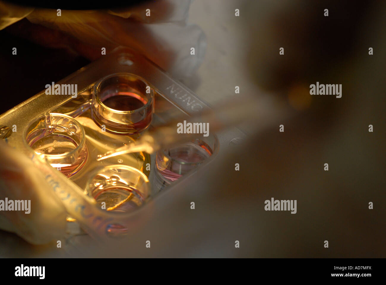 Embryo vitrification hi-res stock photography and images - Alamy