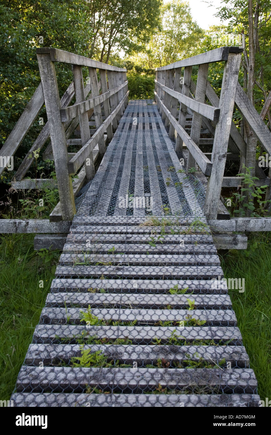 Wooden bridge through woodland Stock Photo - Alamy
