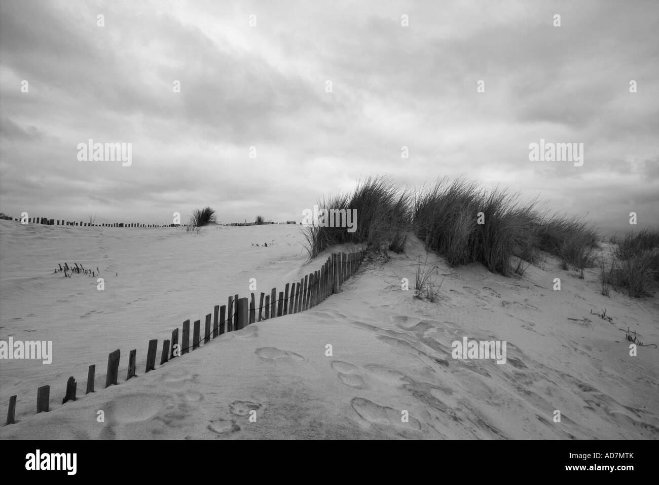 Windswept beach sand Black and White Stock Photos & Images - Alamy