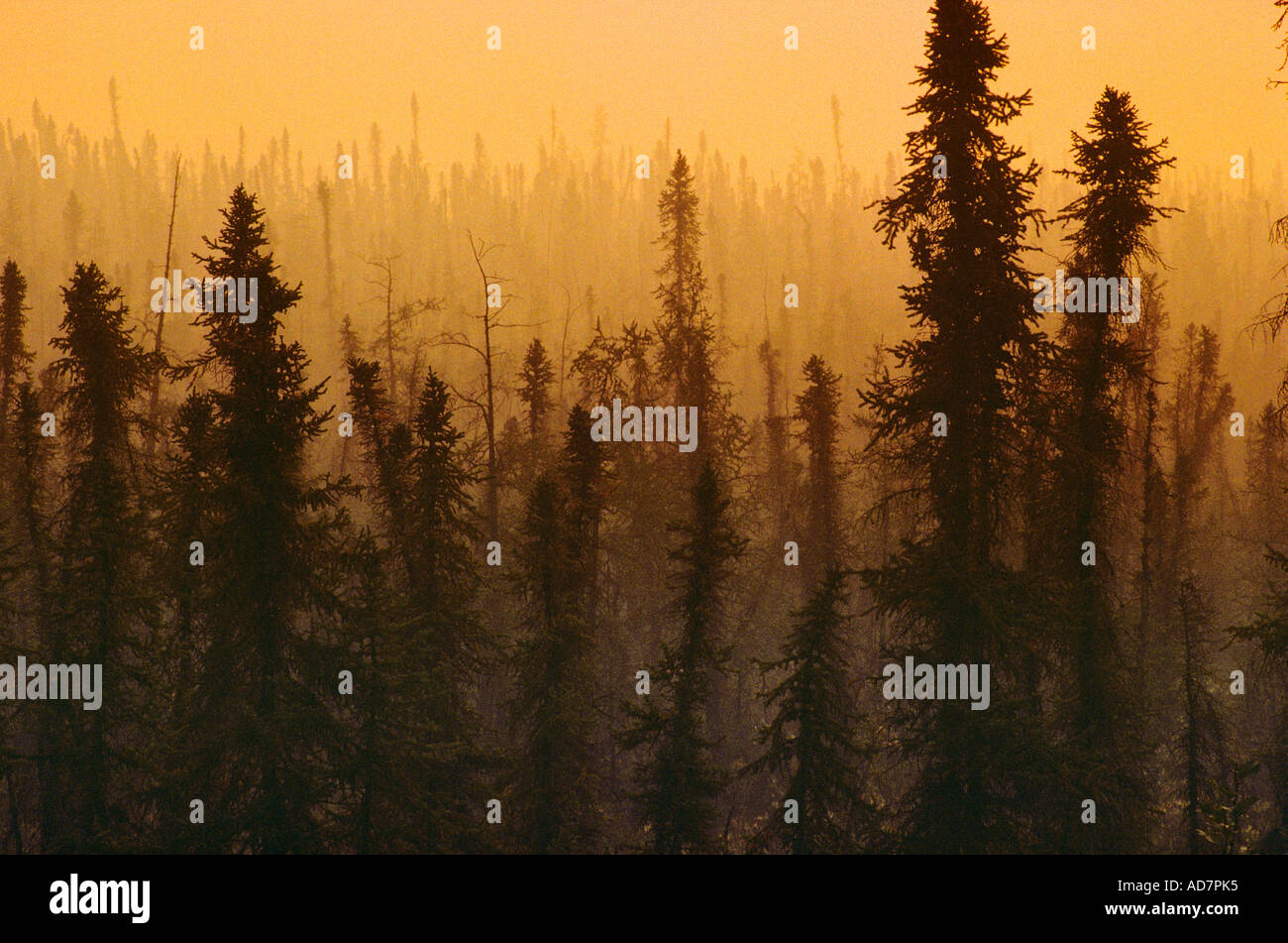 Smoggy scenery hi-res stock photography and images - Alamy