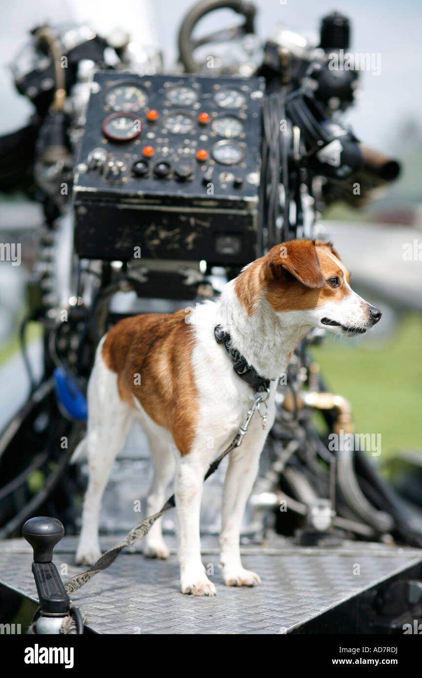 Corbridge Steam Rally England Stock Photo - Alamy