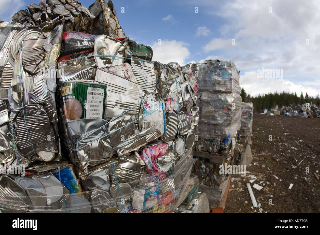 Pallets of crushed aluminum cans at recycling center Smithers BC Stock ...