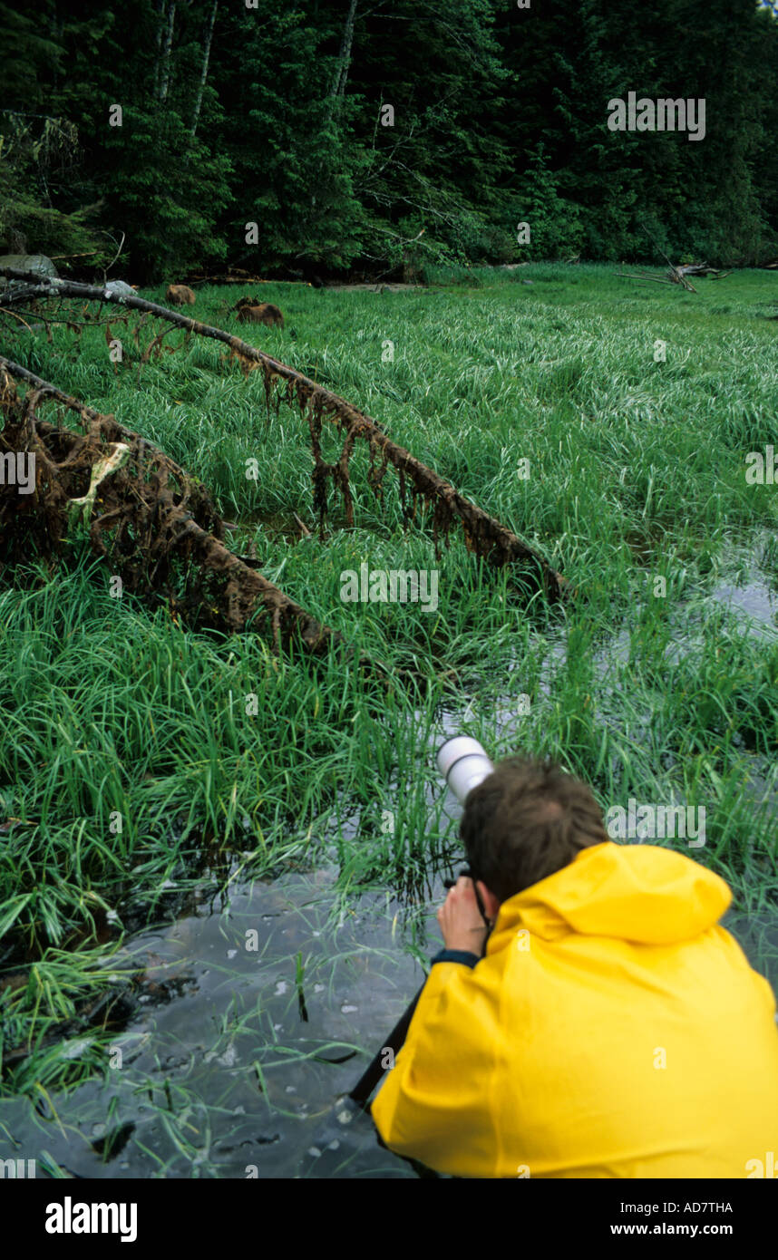 Photographing grizzly bears, Knight Inlet, BC Stock Photo - Alamy