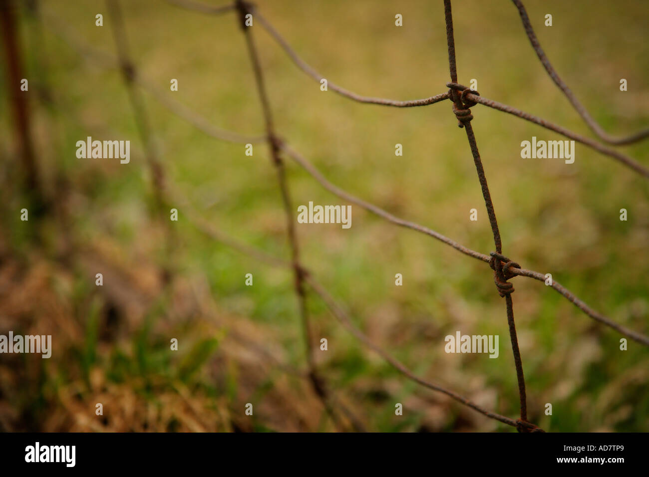 A rusted old fence Stock Photo - Alamy